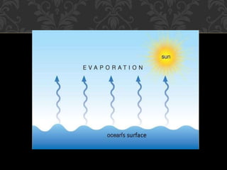 Heat loss mechanism physiology by conduction and convection | PPTX