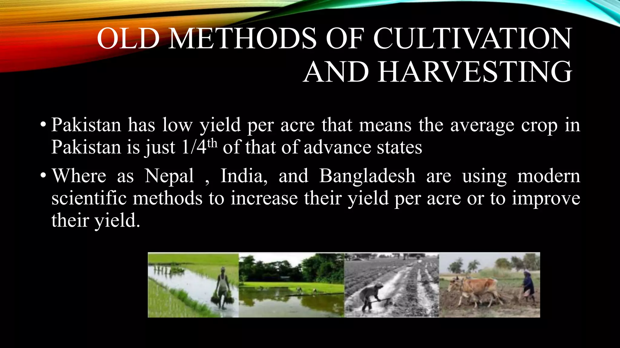 Define Agriculture (Then and Now) | PPTX