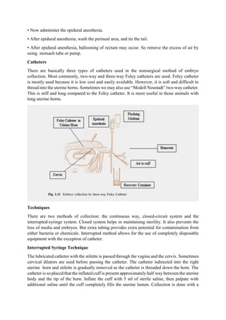 Define embryo transfer technique.docx