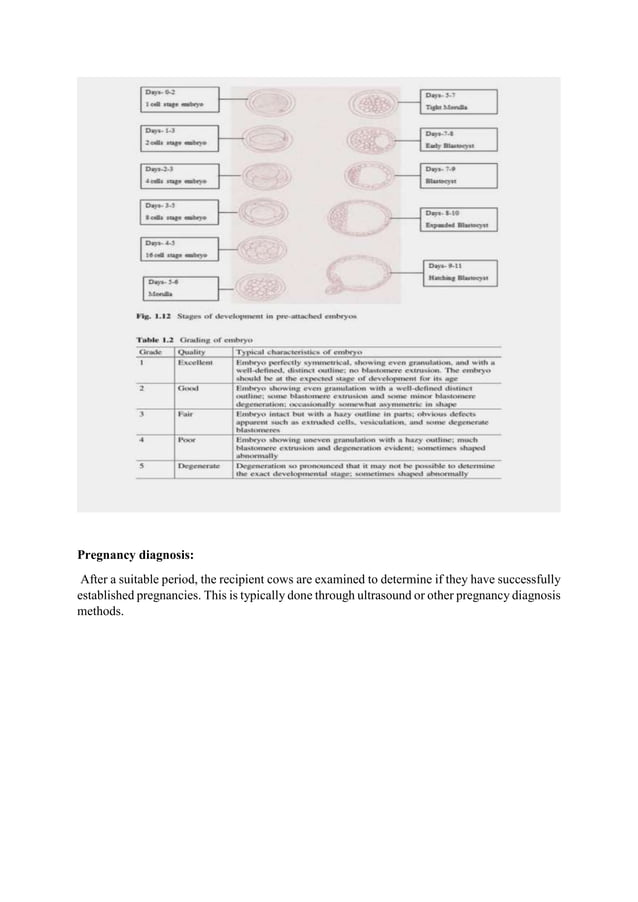 Define embryo transfer technique.docx