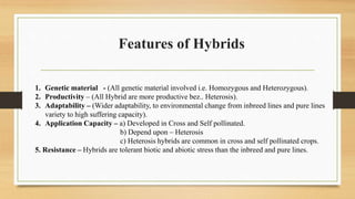 Define Hybrid. Features and Method of Maintained Nucleus and Breeder ...