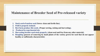 Define Hybrid. Features and Method of Maintained Nucleus and Breeder ...