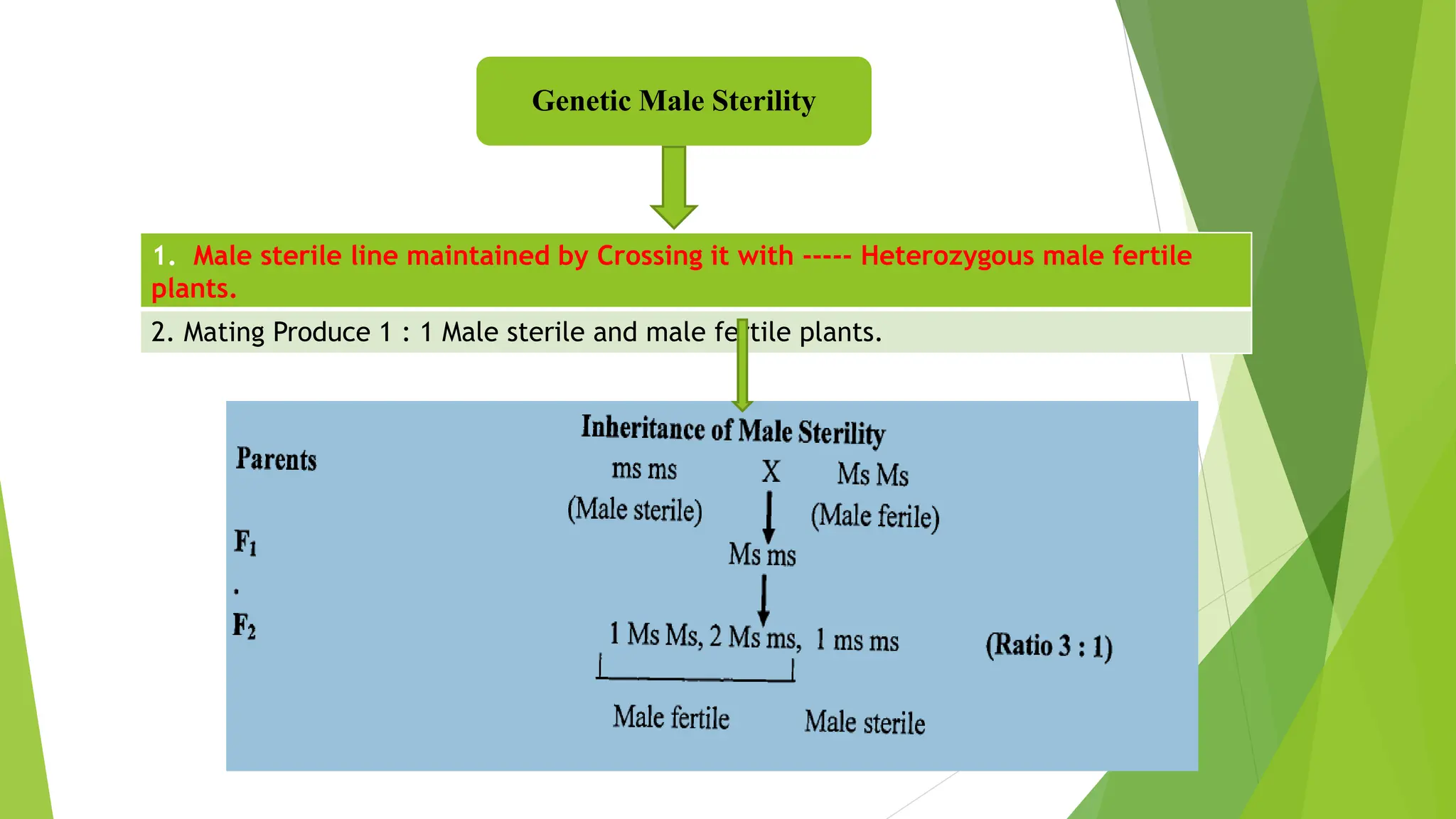Define Male Sterility, Types, transfer of CMS to the new strain ...