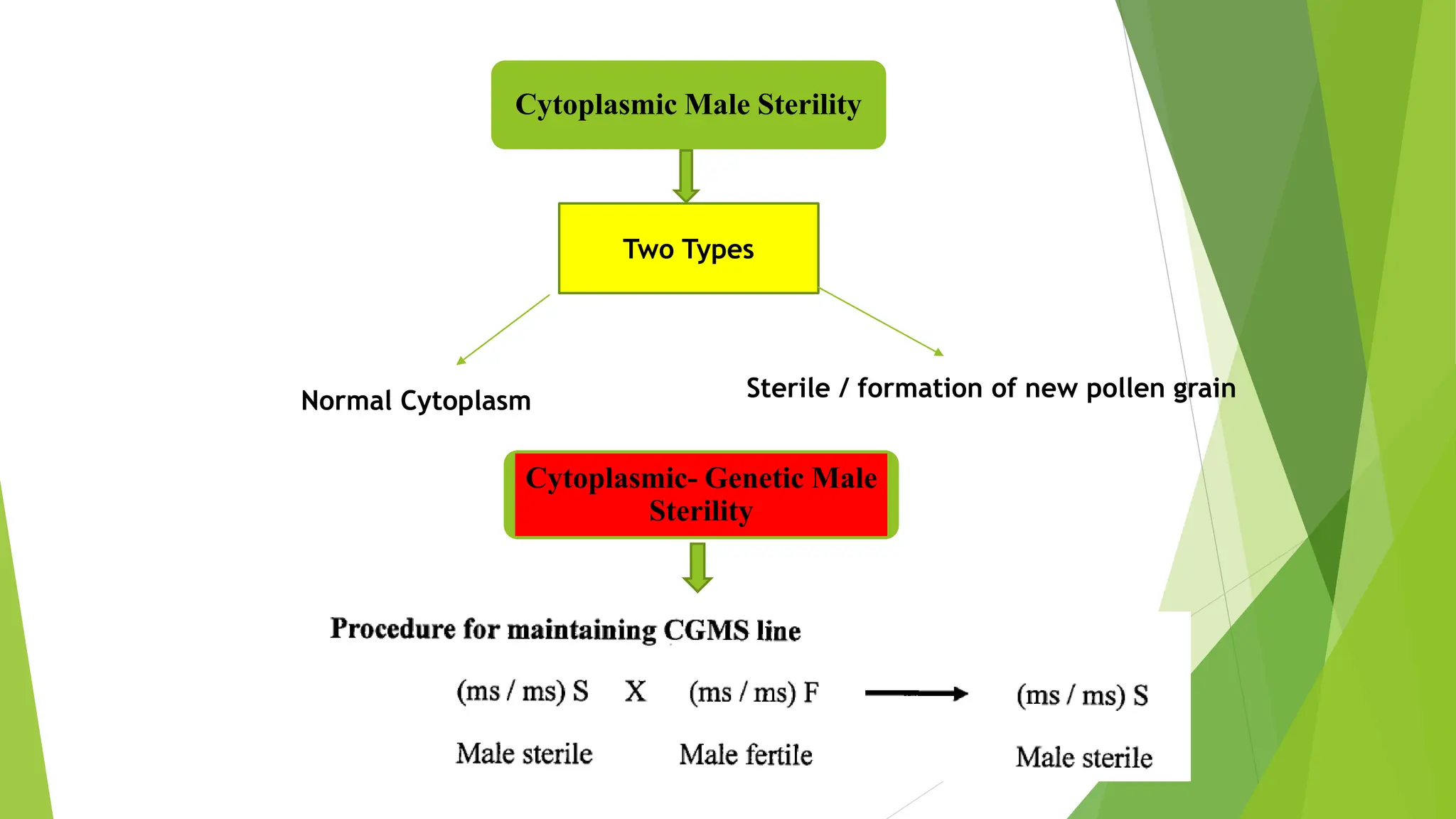Define Male Sterility, Types, transfer of CMS to the new strain ...