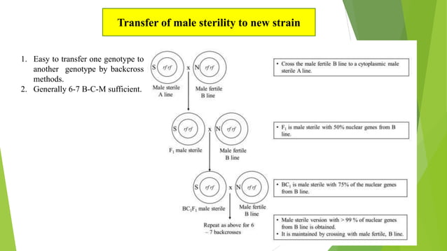 Define Male Sterility, Types, transfer of CMS to the new strain ...
