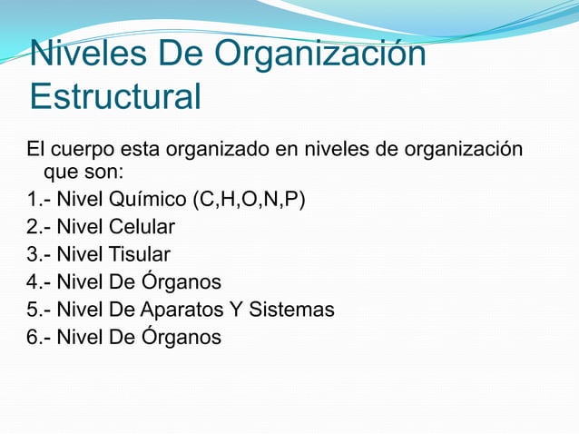 Definicin De Anatoma Y Fisiologa