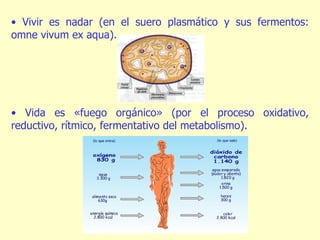 Definición de Vida | PPT