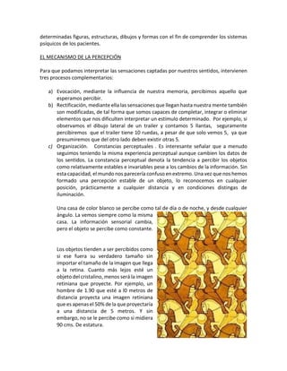 Definicion de sensacion y percepcion en psicologia | DOCX
