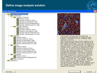 Definiens Tissue Studio Advanced Digital Pathology Image Analysis ...
