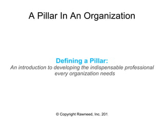 Organizational Pillar series 1 | PPT
