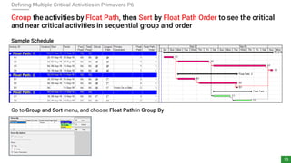 Defining, Assessing and Managing Critical - Near Critical Activities ...