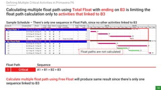 Defining, Assessing and Managing Critical - Near Critical Activities Using Primavera P6 | PDF