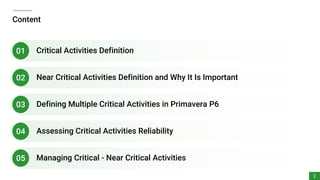 Defining, Assessing and Managing Critical - Near Critical Activities ...