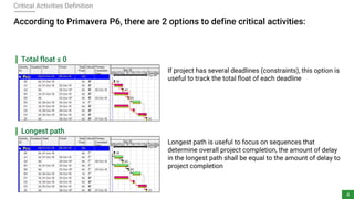 Defining, Assessing and Managing Critical - Near Critical Activities ...