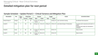 Defining, Assessing and Managing Critical - Near Critical Activities ...
