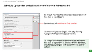 Defining, Assessing and Managing Critical - Near Critical Activities ...