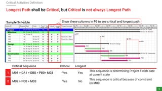 Defining, Assessing and Managing Critical - Near Critical Activities ...