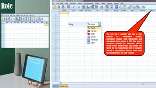 Defining Data in IBM SPSS Statistics | PDF