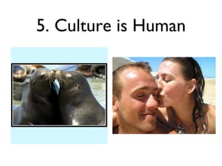 Defining features of culture | PPT