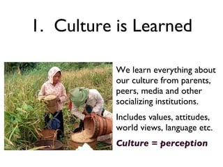Defining features of culture | PPT