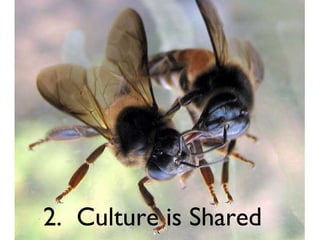 Defining features of culture | PPT