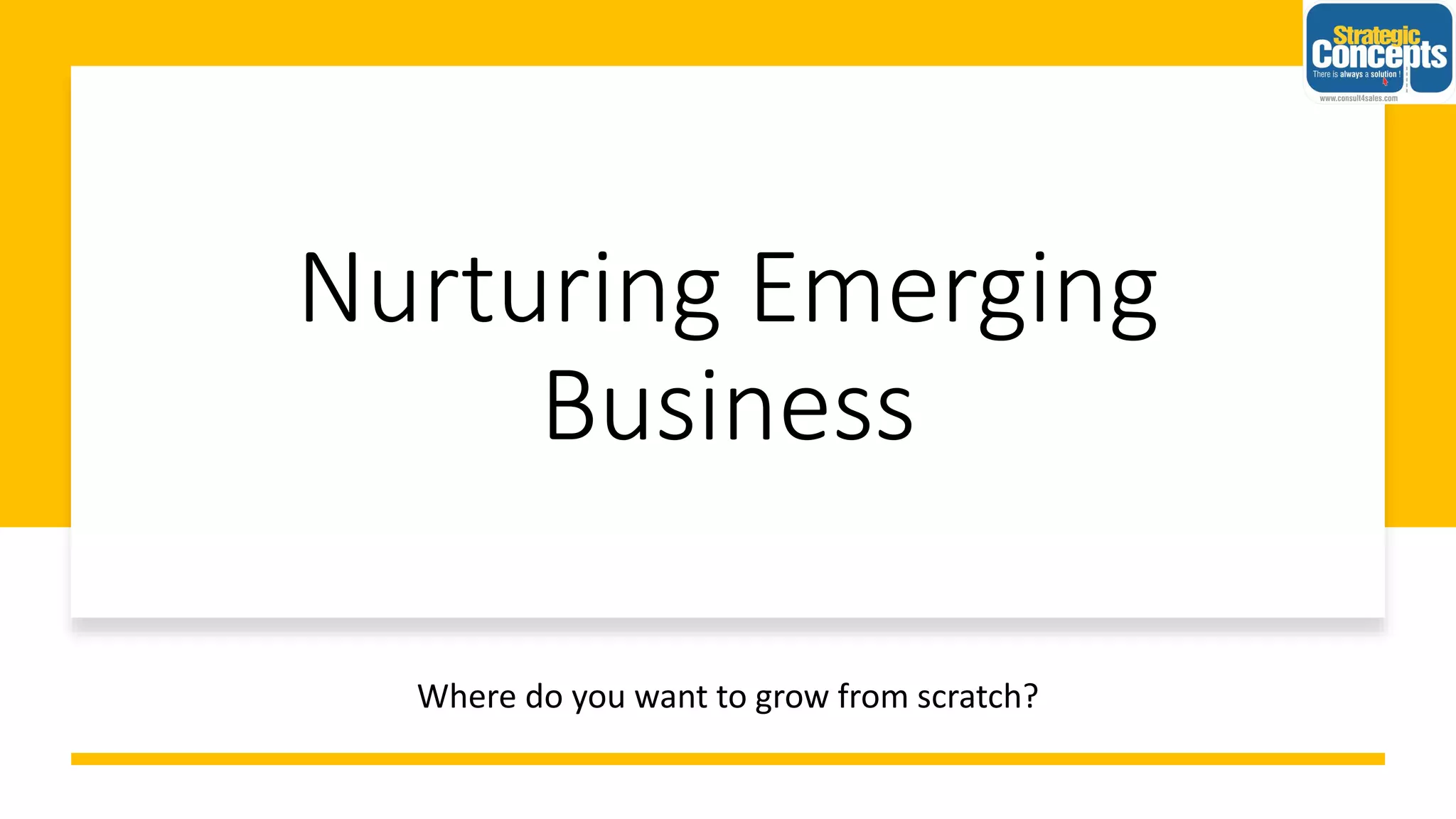 Defining Focus Areas of Growth | PPTX | Business | Business and Finance
