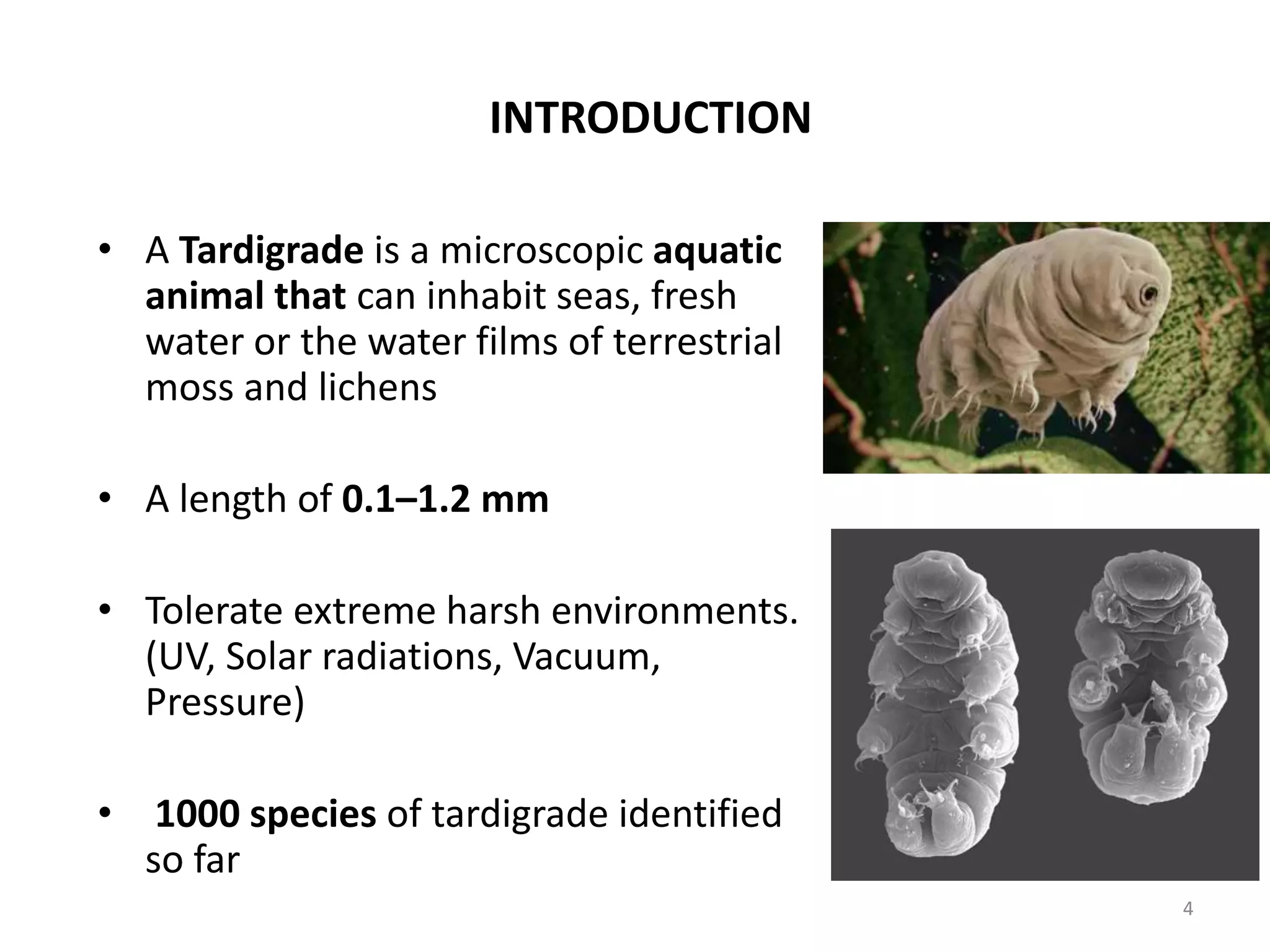 Defining the viability of tardigrades with a molecular sensor related ...