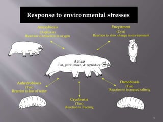 Defining the viability of tardigrades with a molecular sensor related ...