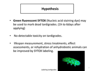 Defining the viability of tardigrades with a molecular sensor related ...