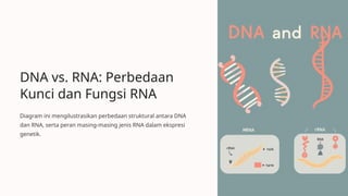 Definisi-dan-Struktur-Asam-Nukleat-DNA-and-RNA.pptx