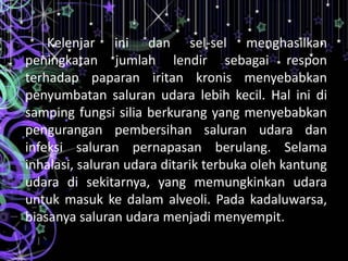 Definisi bronchitis kronis pptna | PPT