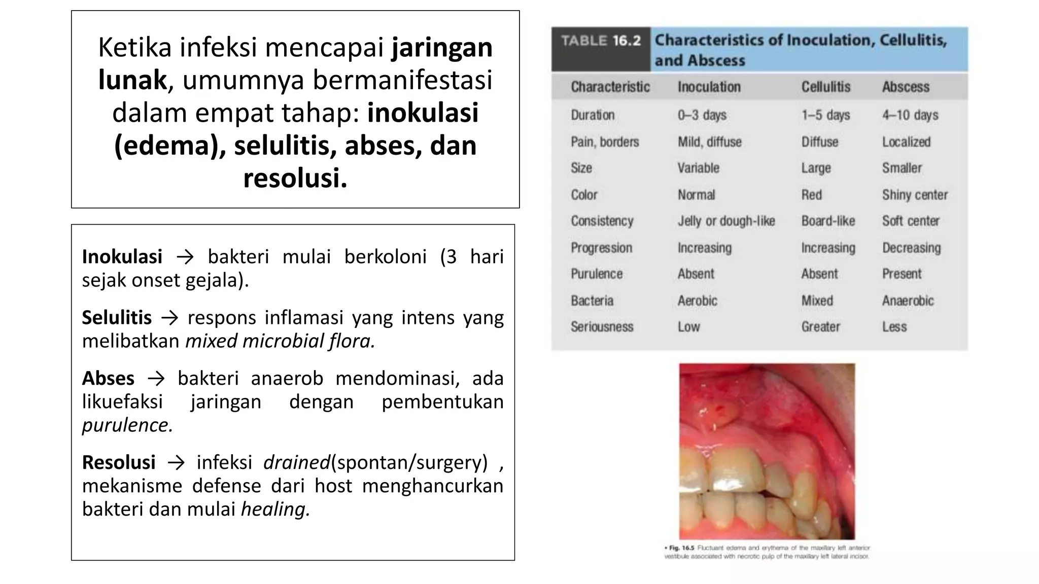 DEFINISI DAN PATOFISIOLOGI INFEKSI.pptx