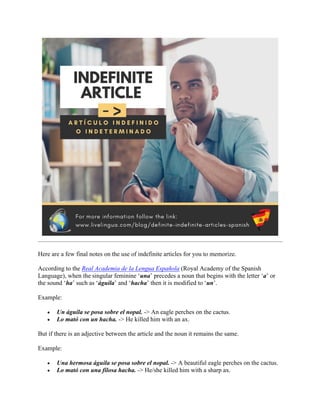 Definite and Indefinite Articles in Spanish | PDF