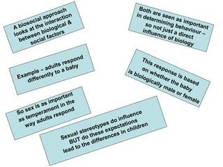 A2 Gender biosocial approach | PPT