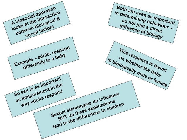 A2 Gender biosocial approach | PPT