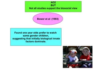 A2 Gender biosocial approach | PPT