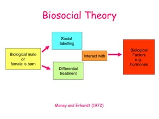 A2 Gender biosocial approach | PPT