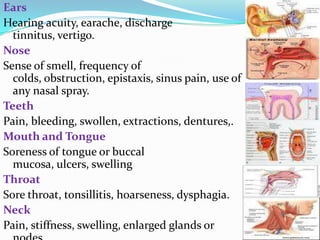 Nursing Health Assessment | PPTX