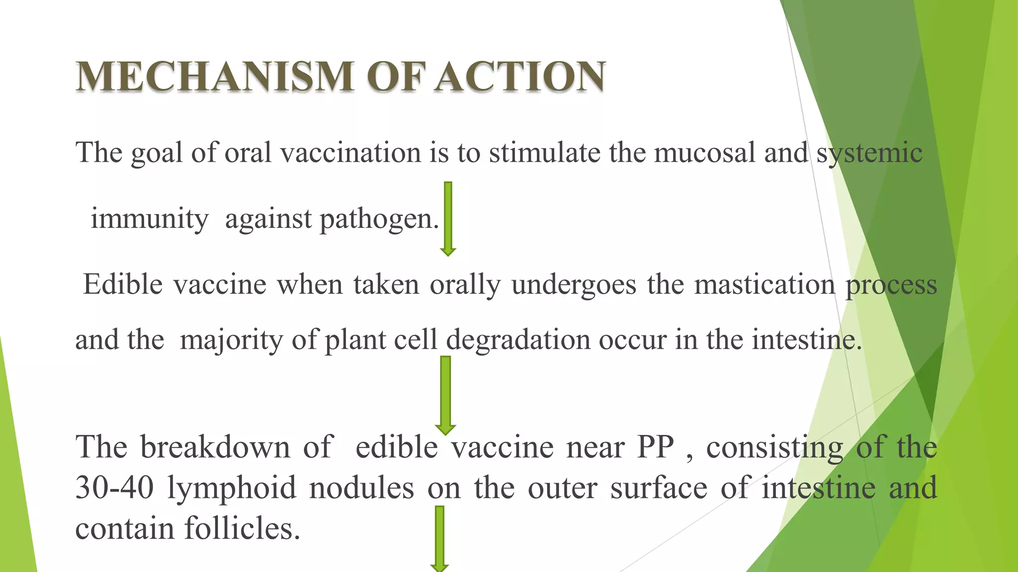 edible vaccine | PPTX