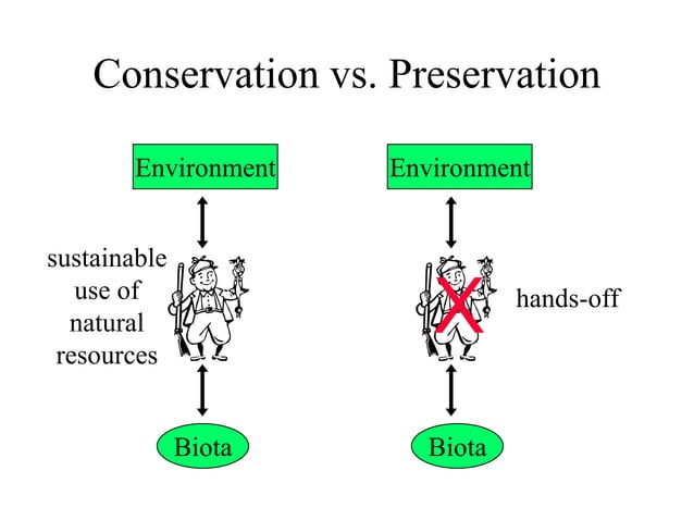 Conservation of biology & eco Definition.ppt