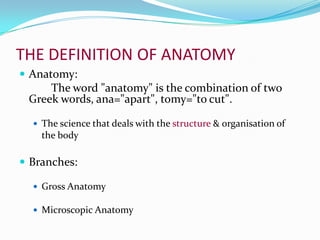 Definition and branches of anatomy. preservation methods of the cadaver ...