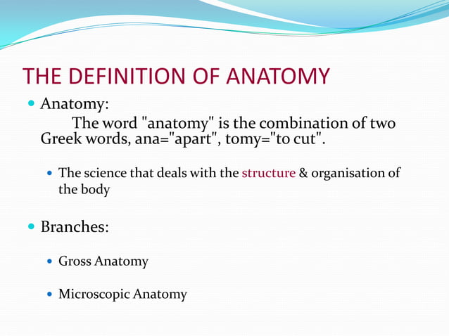 Definition and branches of anatomy. preservation methods of the cadaver ...