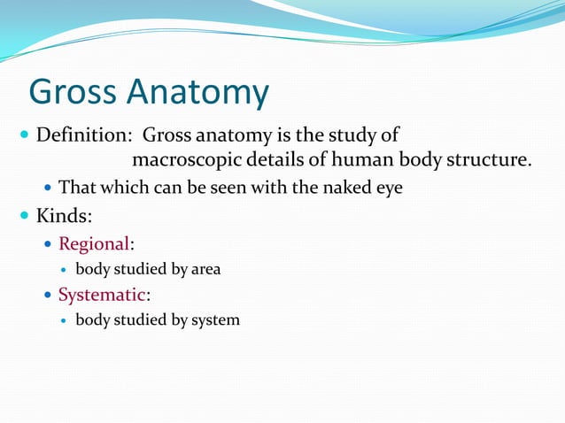 Definition and branches of anatomy. preservation methods of the cadaver ...