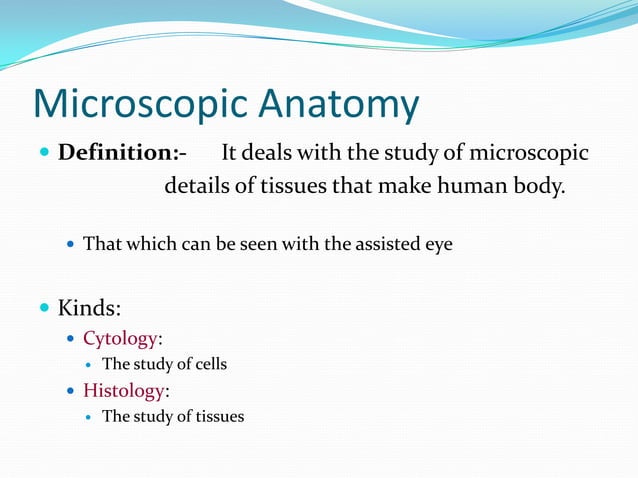 Definition and branches of anatomy. preservation methods of the cadaver ...