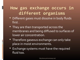 Definition and factors affecting gas exchange | PPT