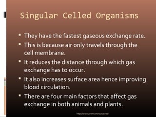 Definition and factors affecting gas exchange | PPT