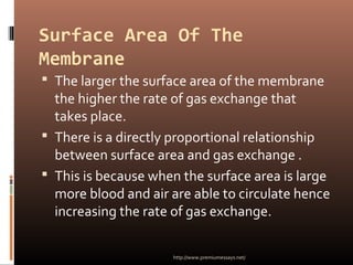 Definition and factors affecting gas exchange | PPT