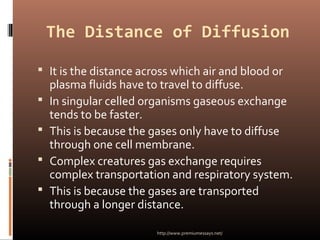 Definition and factors affecting gas exchange | PPT