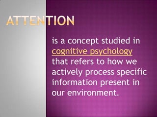 Perception In Cognitive Psychology
