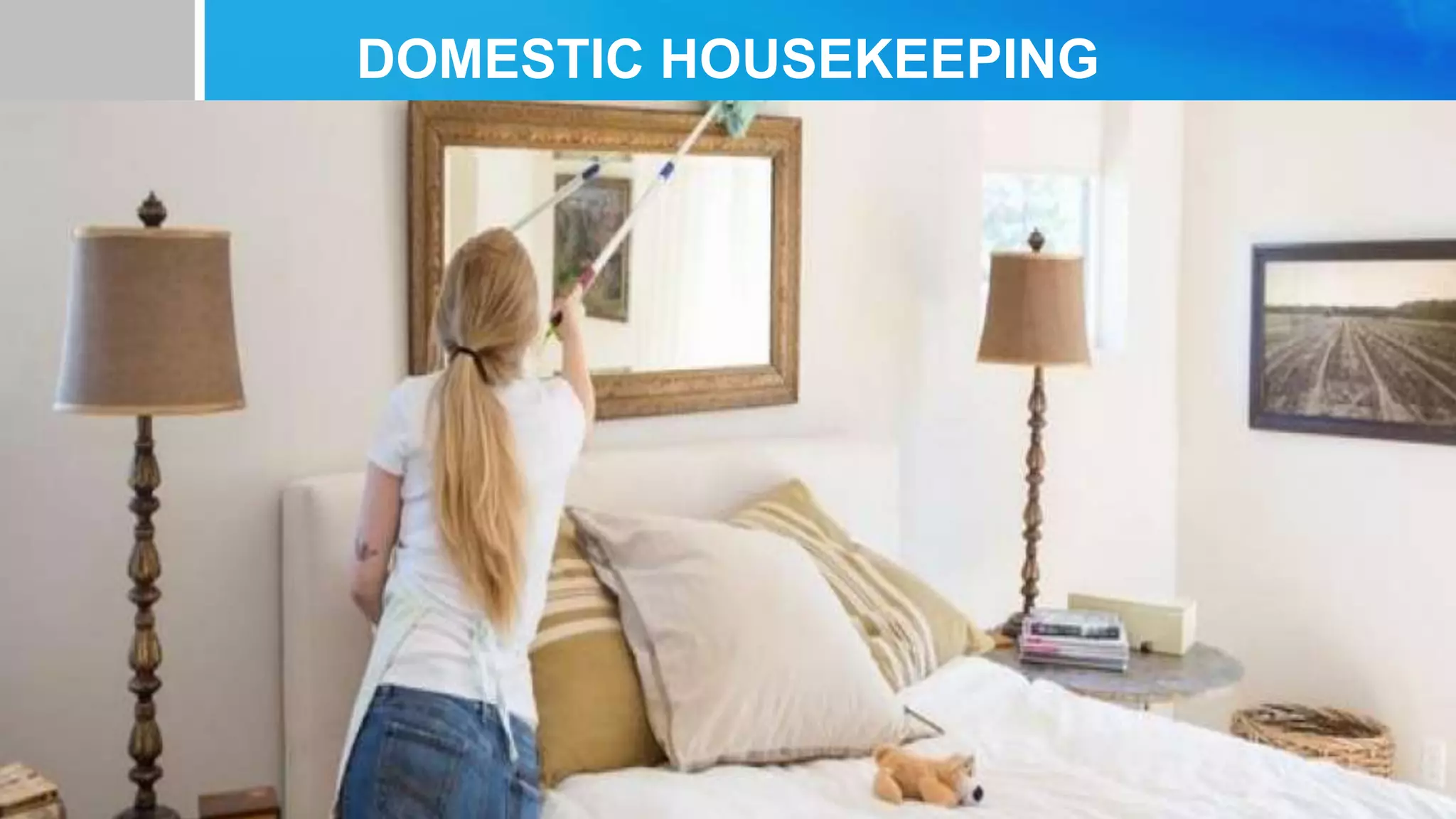 Definition and Scope of Housekeeping | PPTX